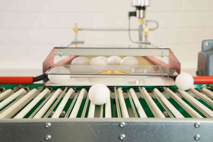 Egg input unit - Lubing India